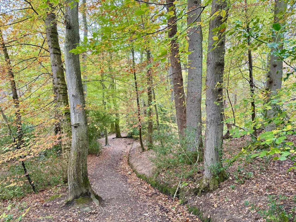 Falling Foss Waterfall Walk: Scenic North York Moors Circular Trail