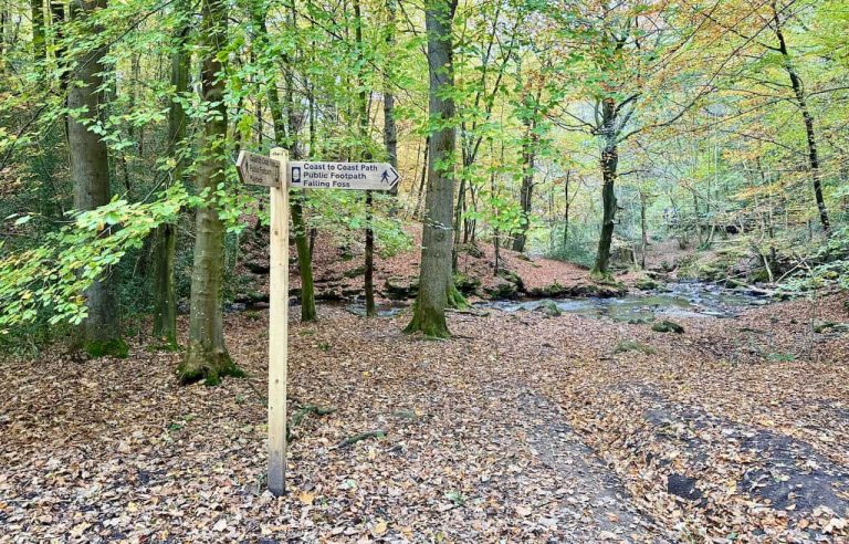 Falling Foss Waterfall Walk: Scenic North York Moors Circular Trail