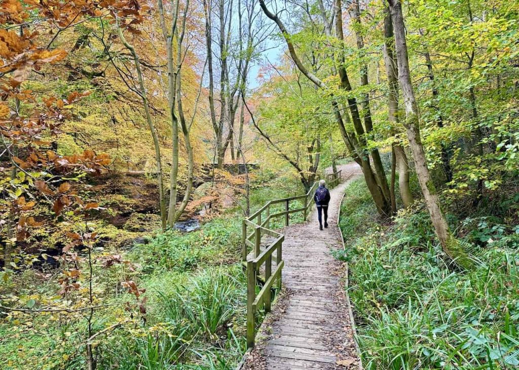 Falling Foss Waterfall Walk: Scenic North York Moors Circular Trail