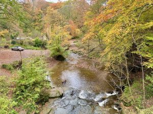 Falling Foss Waterfall Walk: Scenic North York Moors Circular Trail