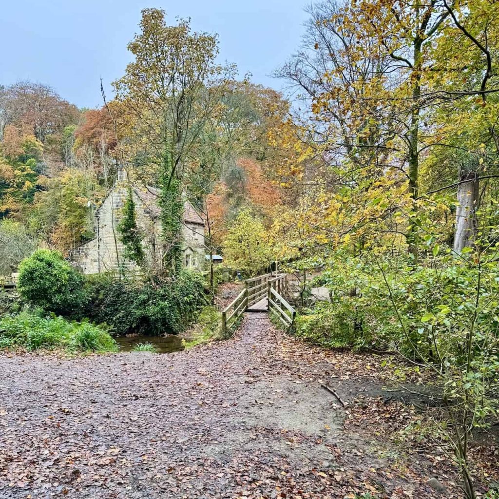 Falling Foss Waterfall Walk: Scenic North York Moors Circular Trail
