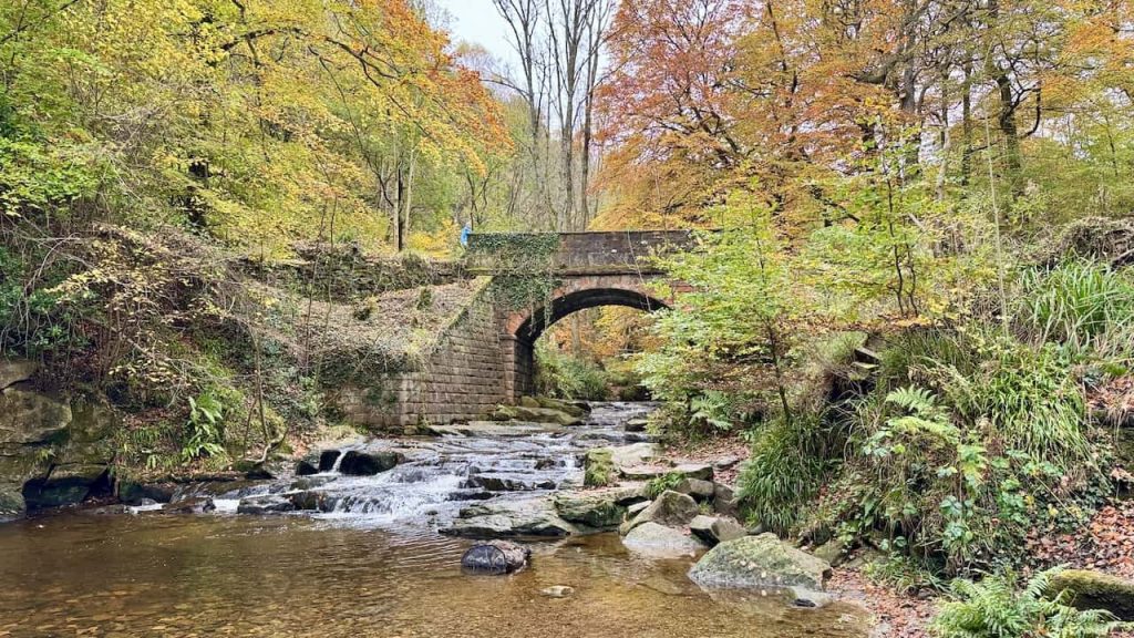 Falling Foss Waterfall Walk: Scenic North York Moors Circular Trail