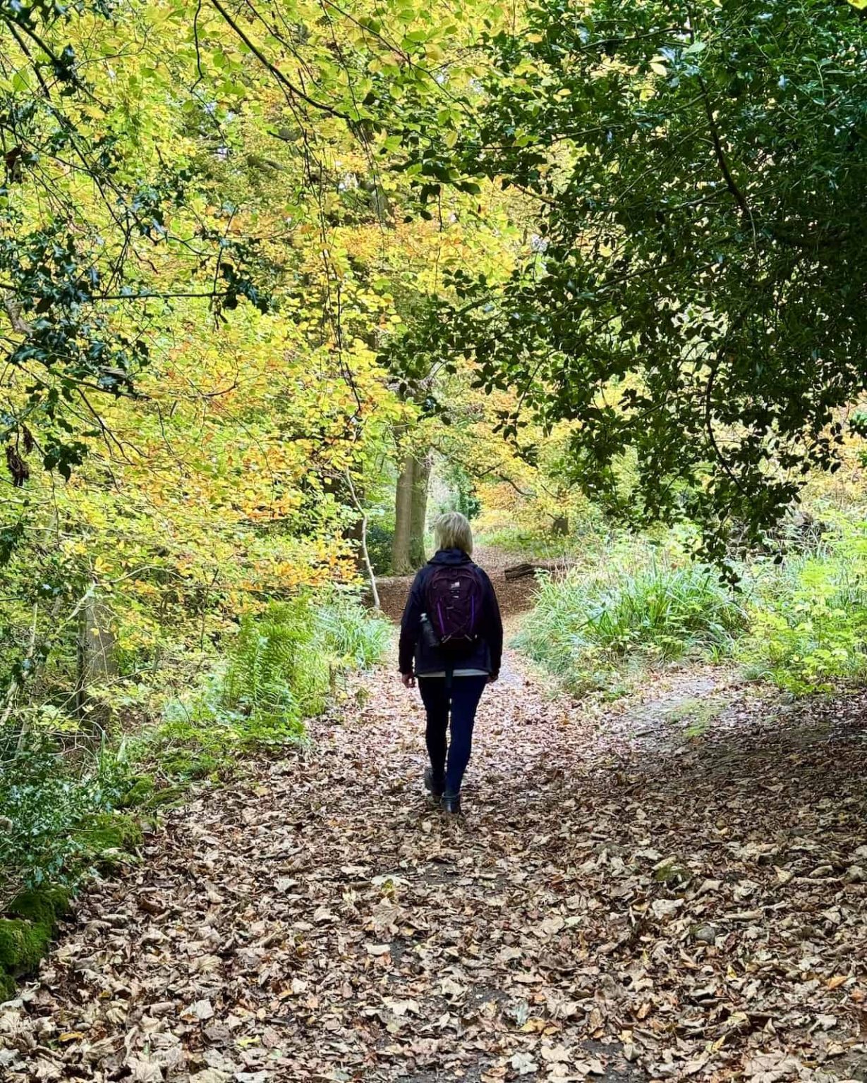 Falling Foss Waterfall Walk: Scenic North York Moors Circular Trail