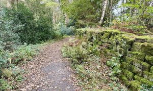 Falling Foss Waterfall Walk: Scenic North York Moors Circular Trail