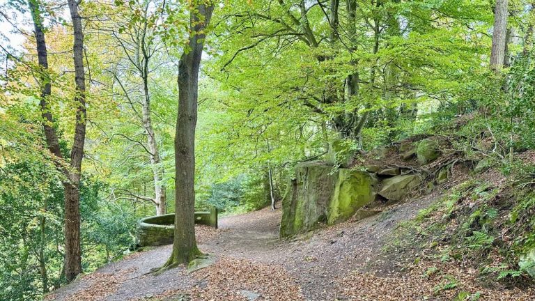Falling Foss Waterfall Walk: Scenic North York Moors Circular Trail