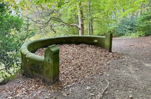 Falling Foss Waterfall Walk: Scenic North York Moors Circular Trail