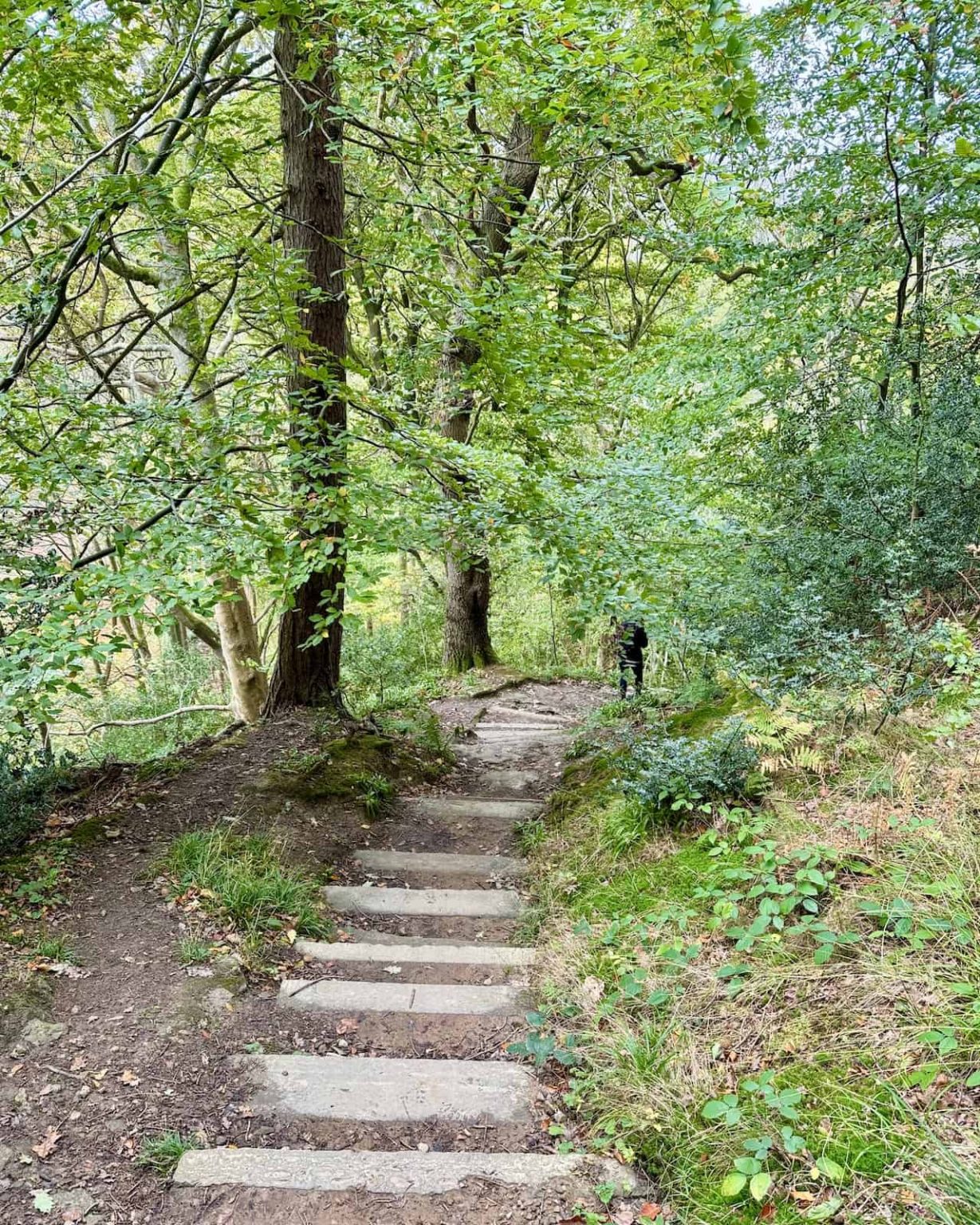 Falling Foss Waterfall Walk: Scenic North York Moors Circular Trail