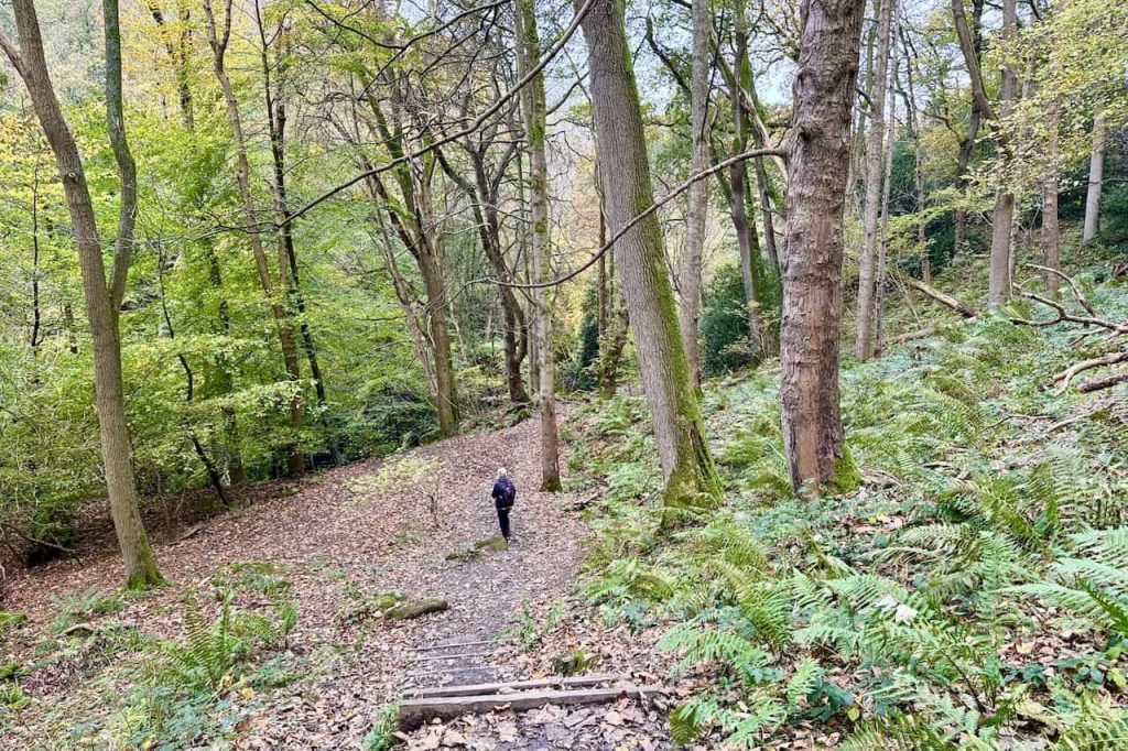 Falling Foss Waterfall Walk: Scenic North York Moors Circular Trail