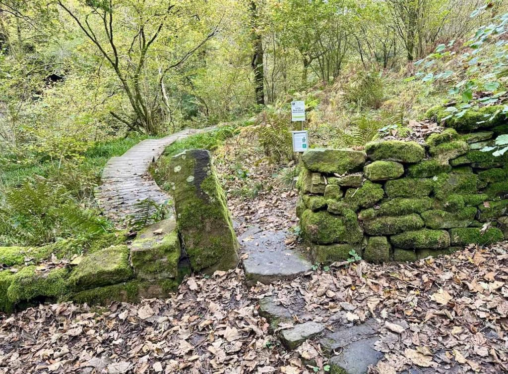 Falling Foss Waterfall Walk: Scenic North York Moors Circular Trail