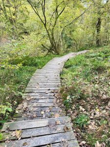 Falling Foss Waterfall Walk: Scenic North York Moors Circular Trail