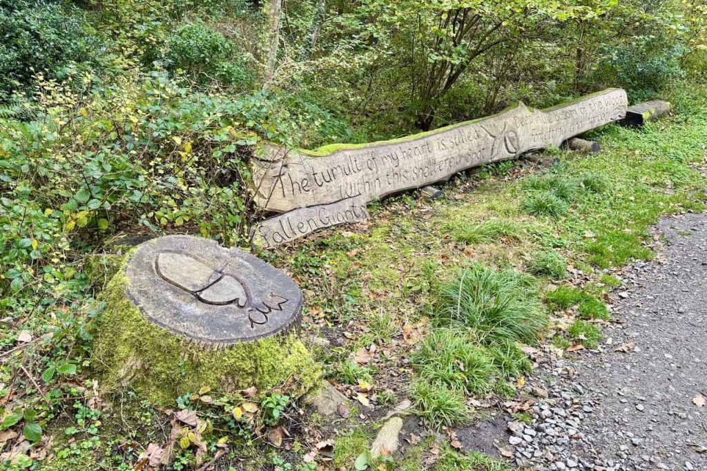 Falling Foss Waterfall Walk: Scenic North York Moors Circular Trail