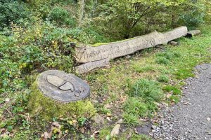 Falling Foss Waterfall Walk: Scenic North York Moors Circular Trail
