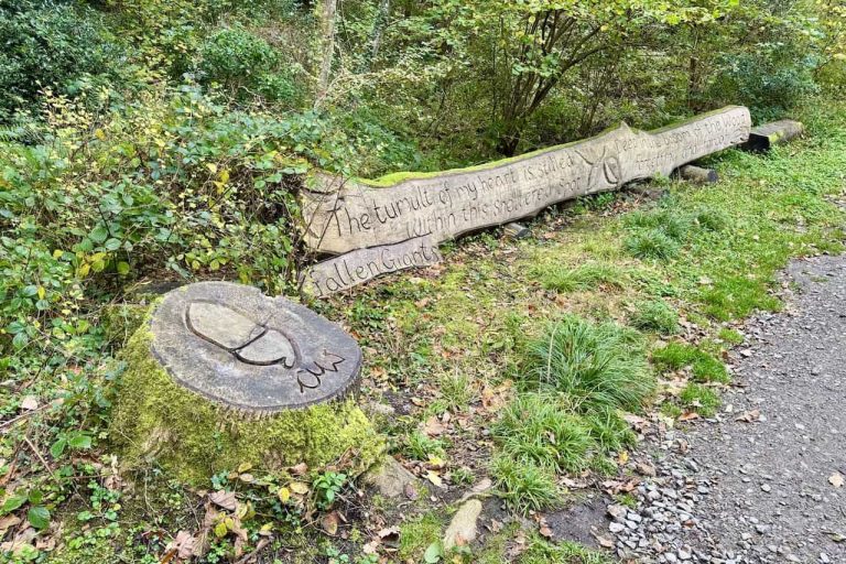 Falling Foss Waterfall Walk: Scenic North York Moors Circular Trail