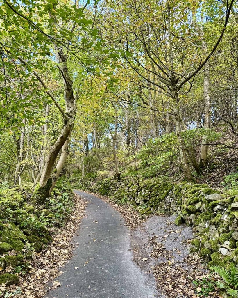 Fremington Edge Walk: Discover the Best Route Starting in Reeth