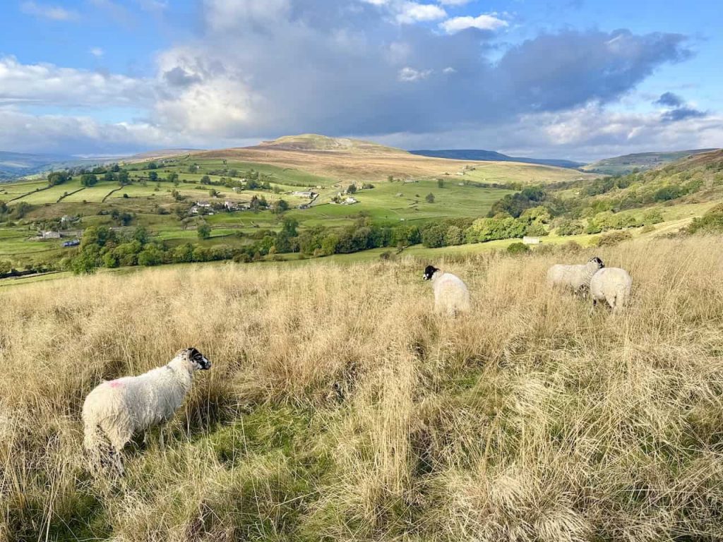 Fremington Edge Walk: Discover the Best Route Starting in Reeth