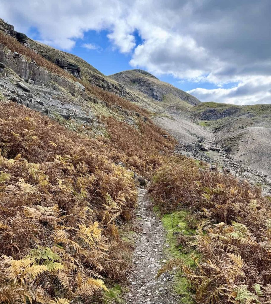 Fremington Edge Walk: Discover the Best Route Starting in Reeth