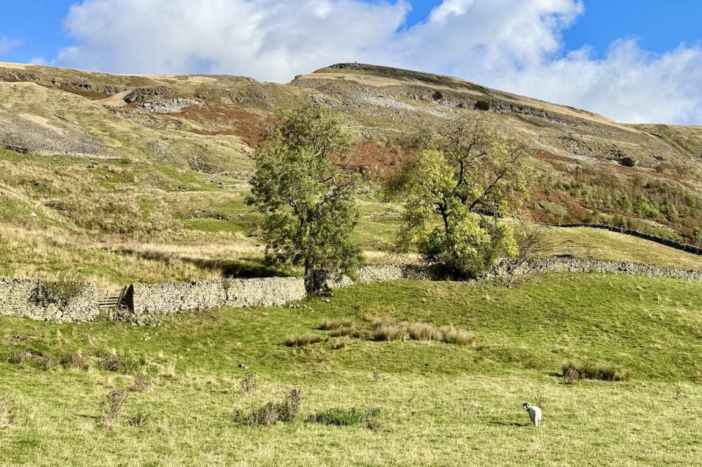 Fremington Edge Walk: Discover the Best Route Starting in Reeth