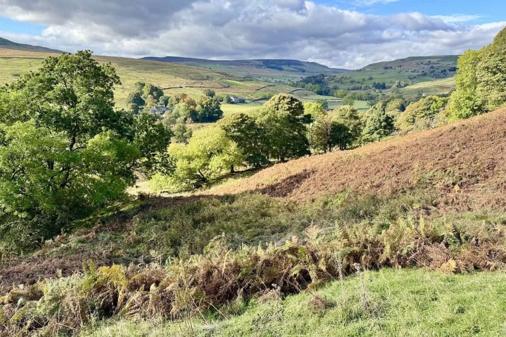 Fremington Edge Walk: Discover the Best Route Starting in Reeth