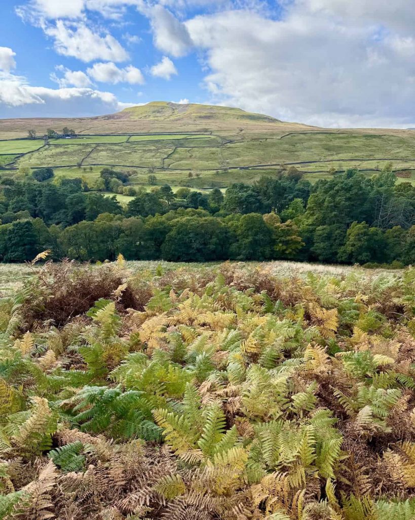 Fremington Edge Walk: Discover the Best Route Starting in Reeth