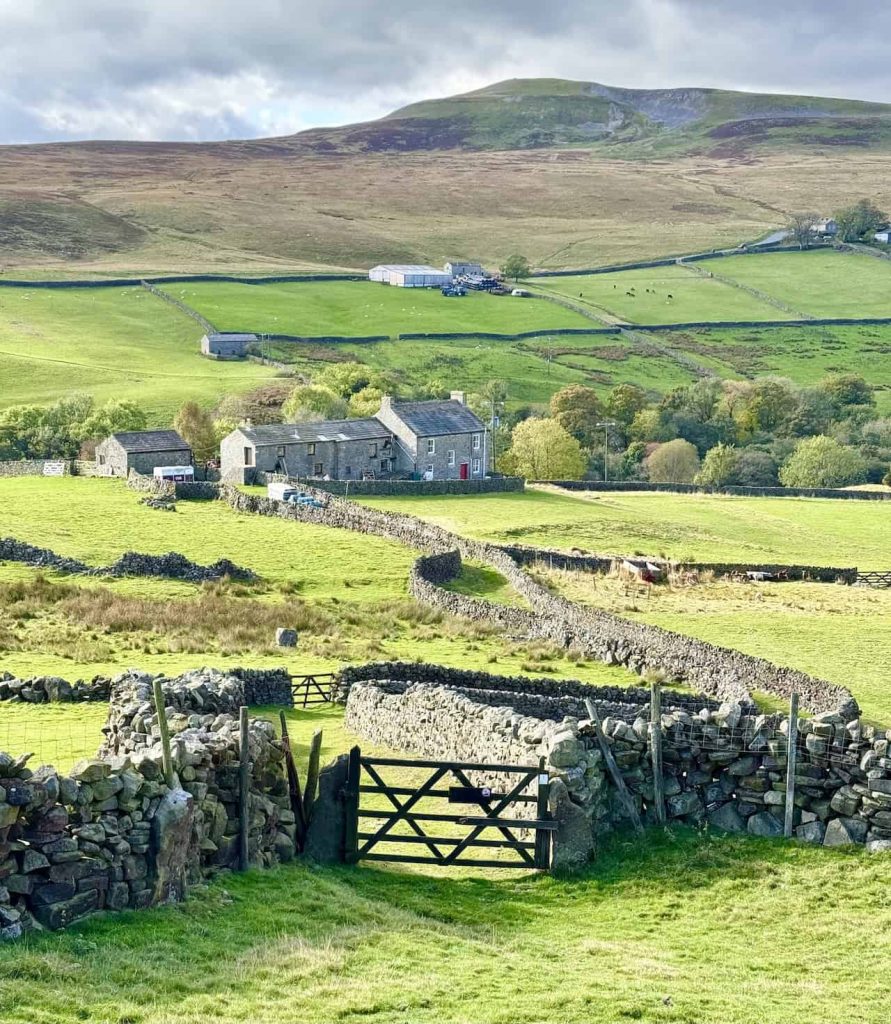 Fremington Edge Walk: Discover the Best Route Starting in Reeth