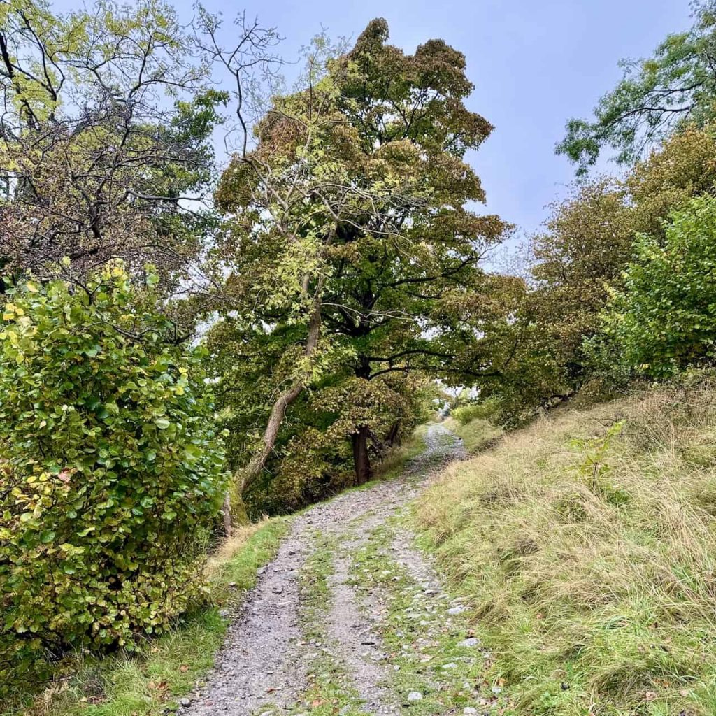 Yockenthwaite Walk: From Buckden, Visit Cray and Hubberholme
