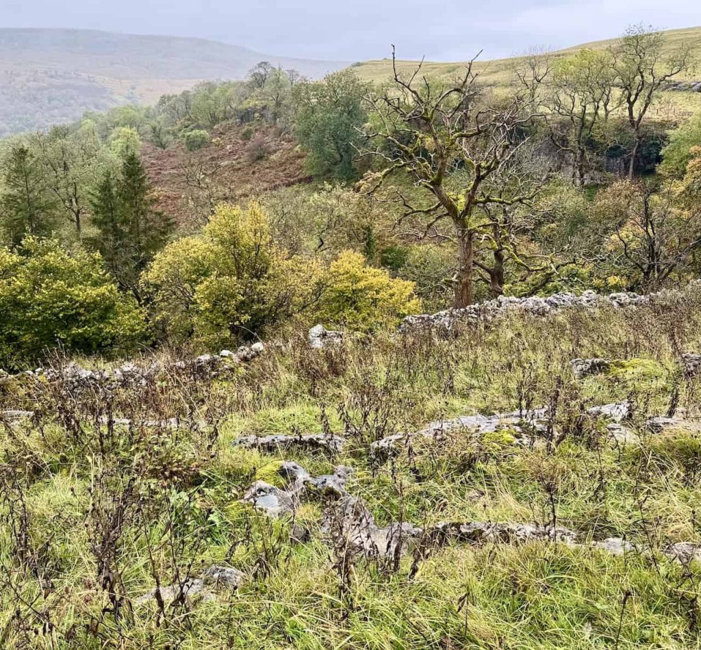 Yockenthwaite Walk: From Buckden, Visit Cray and Hubberholme