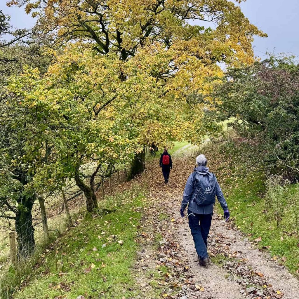 Yockenthwaite Walk: From Buckden, Visit Cray and Hubberholme