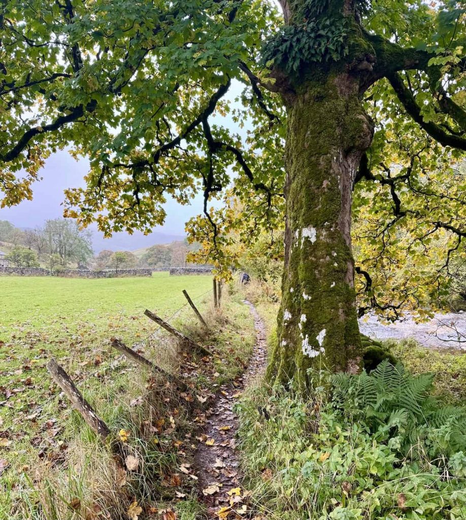 Yockenthwaite Walk: From Buckden, Visit Cray and Hubberholme
