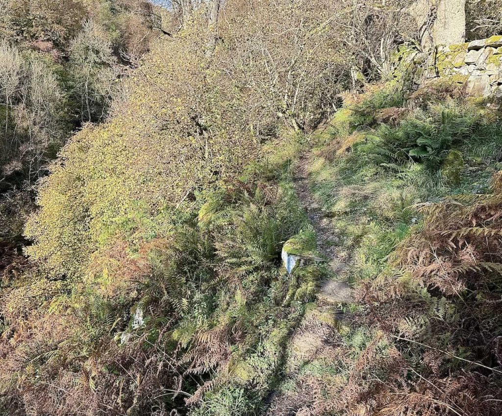 Gunnerside Gill Walk: 7 Miles of Stunning Yorkshire Dales Scenery