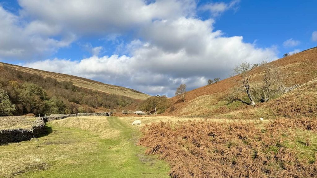 Gunnerside Gill Walk: 7 Miles of Stunning Yorkshire Dales Scenery