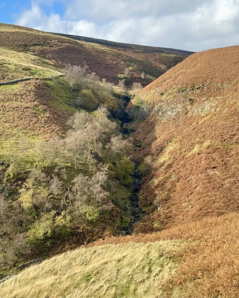 Gunnerside Gill Walk: 7 Miles of Stunning Yorkshire Dales Scenery