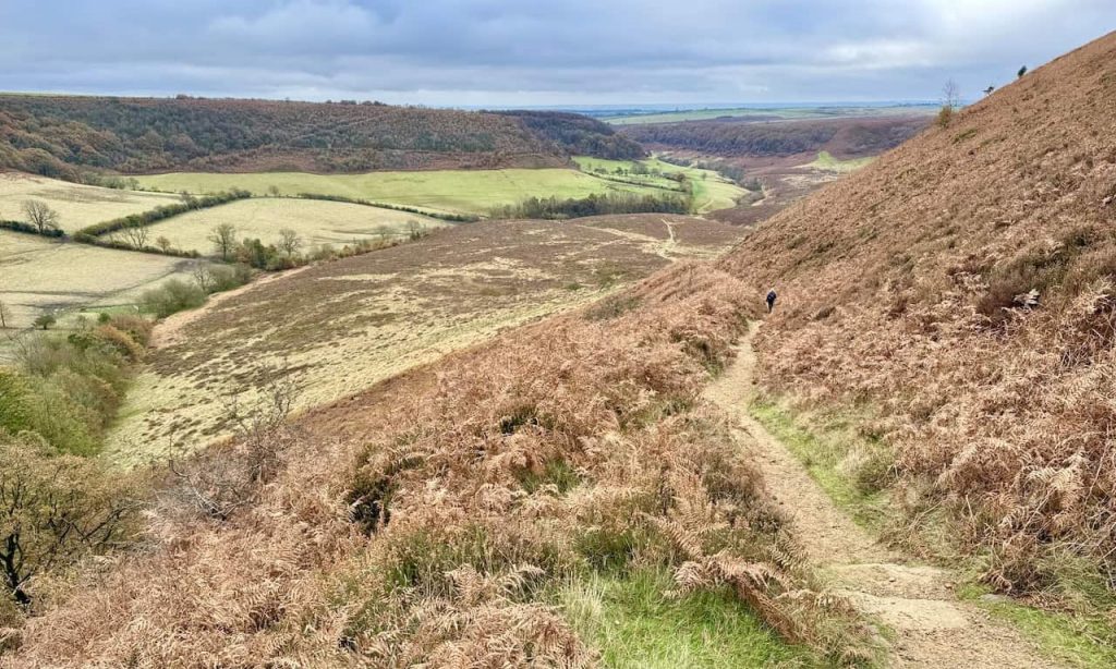 Hole of Horcum Walk: Discover Skelton Tower and Levisham Moor