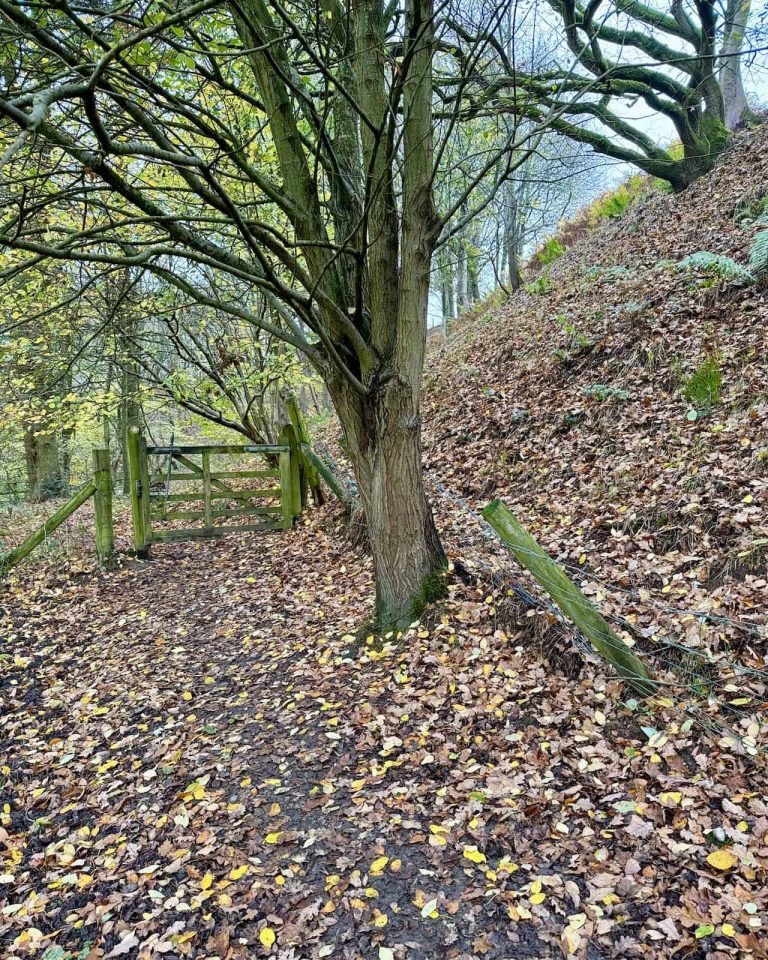 Rosedale Walk: A Beautiful 8-Mile Route in the North York Moors