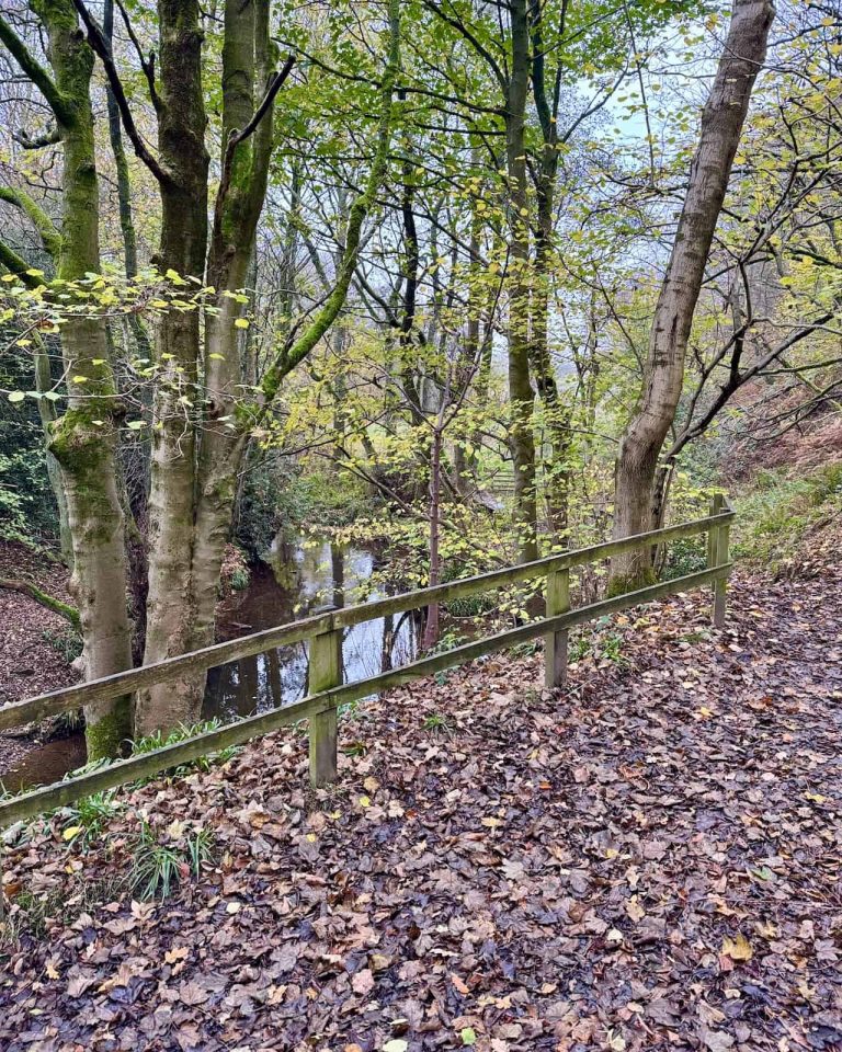 Rosedale Walk: A Beautiful 8-Mile Route in the North York Moors