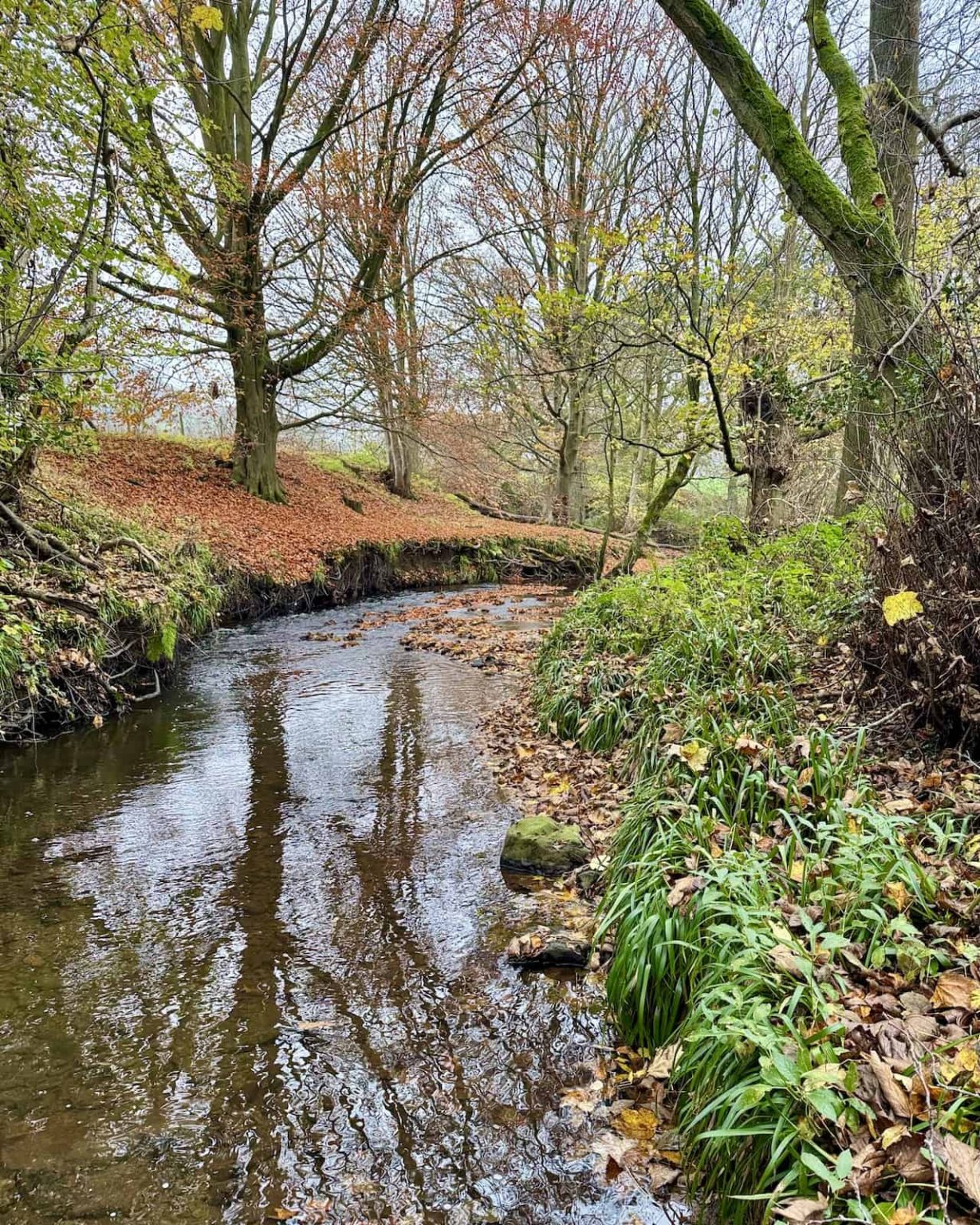 Rosedale Walk: A Beautiful 8-Mile Route in the North York Moors