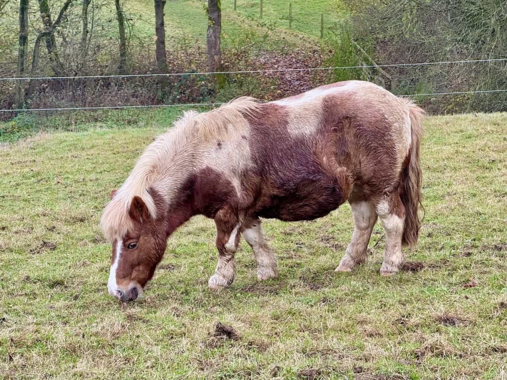 Rosedale Walk: A Beautiful 8-Mile Route in the North York Moors