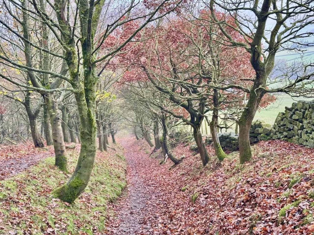Rosedale Walk: A Beautiful 8-Mile Route in the North York Moors