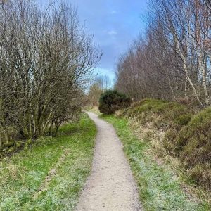 Sutton Bank Walk: From the Kilburn White Horse to High Paradise