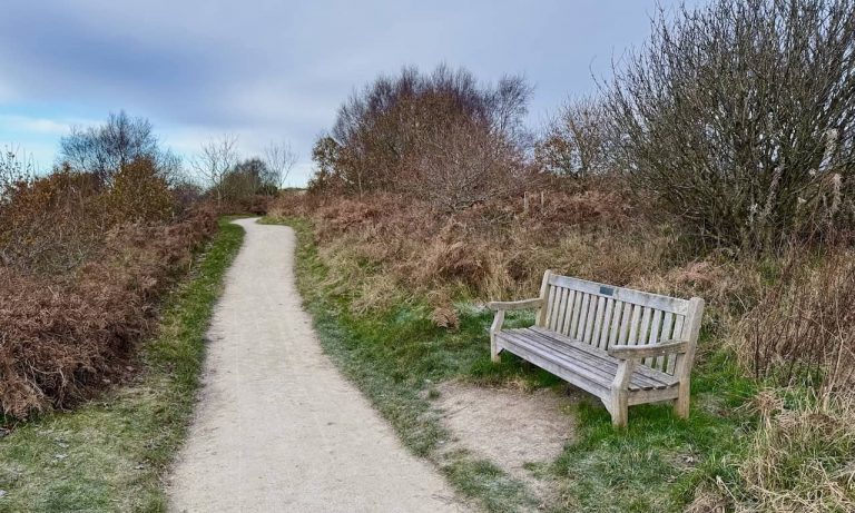 Sutton Bank Walk: From the Kilburn White Horse to High Paradise