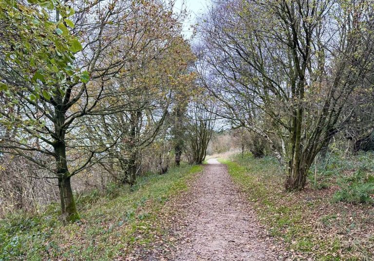 Sutton Bank Walk: From the Kilburn White Horse to High Paradise