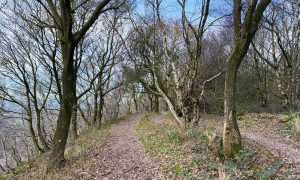 Sutton Bank Walk: From the Kilburn White Horse to High Paradise
