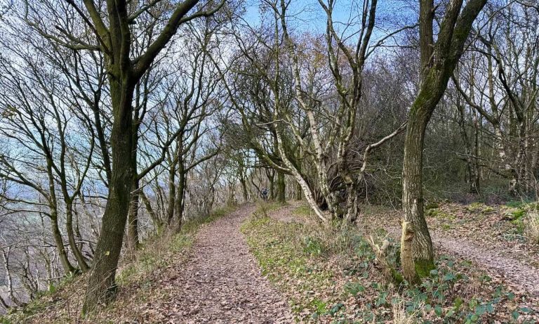 Sutton Bank Walk: From the Kilburn White Horse to High Paradise