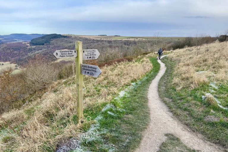 Sutton Bank Walk: From the Kilburn White Horse to High Paradise