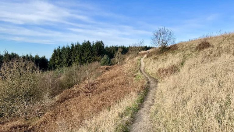 Sutton Bank Walk: From the Kilburn White Horse to High Paradise
