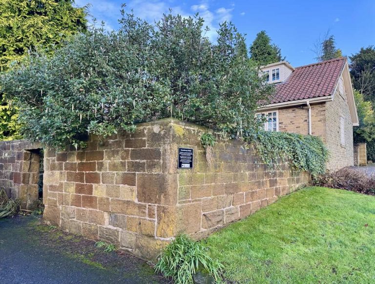 Cod Beck Reservoir Walk: Scenic Route Starting in Osmotherley