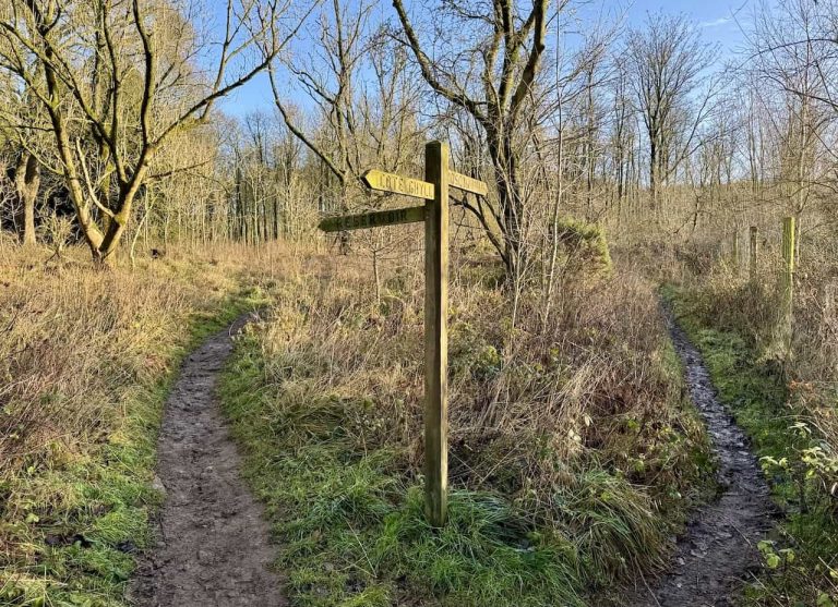Cod Beck Reservoir Walk: Scenic Route Starting in Osmotherley