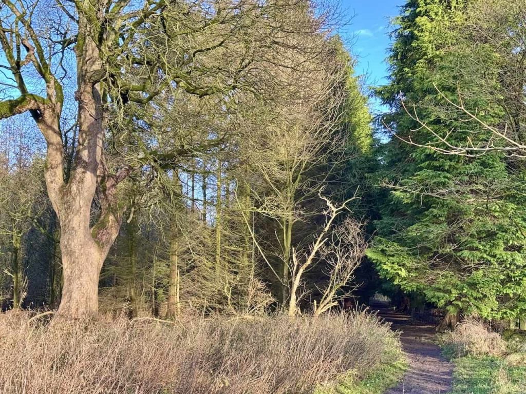 Cod Beck Reservoir Walk: Scenic Route Starting in Osmotherley