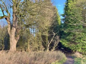 Cod Beck Reservoir Walk: Scenic Route Starting in Osmotherley