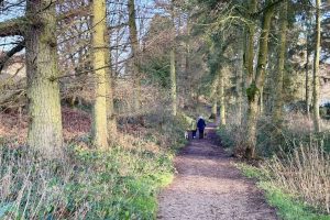 Cod Beck Reservoir Walk: Scenic Route Starting in Osmotherley