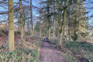 Cod Beck Reservoir Walk: Scenic Route Starting in Osmotherley